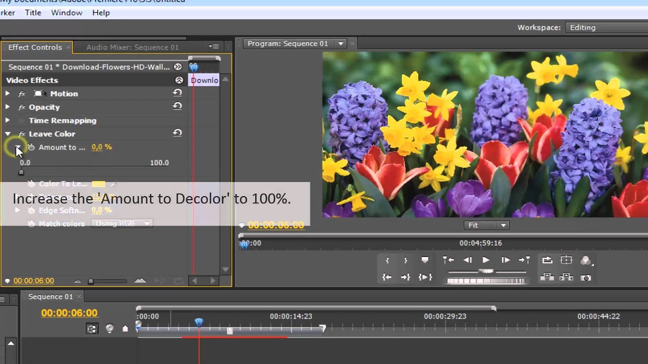 How to use the Leave Color Effect in Adobe Premier - YouTube