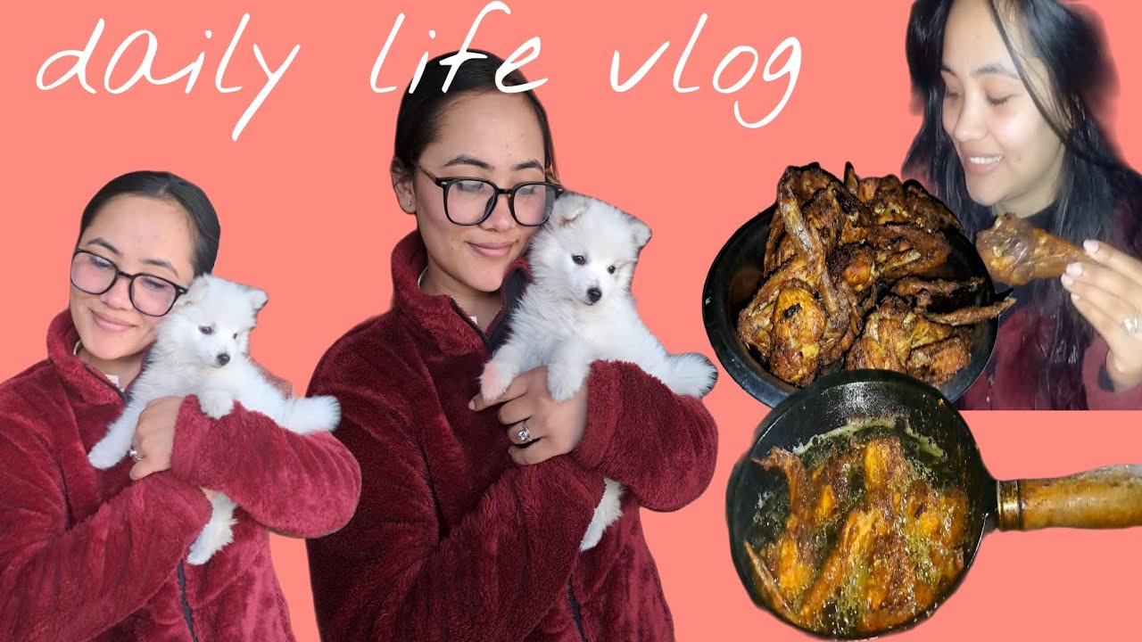 Vlog ☆ days in my life / family time / daily life vlog#4 @Nishuvlogs2 ...