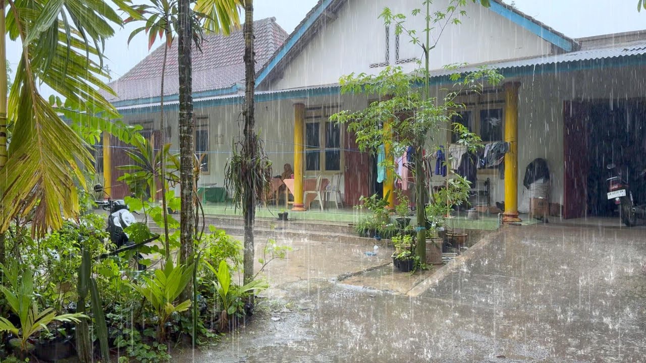 Heavy Rain in Peaceful & Safe Countryside - Perfect For Relaxation and ...