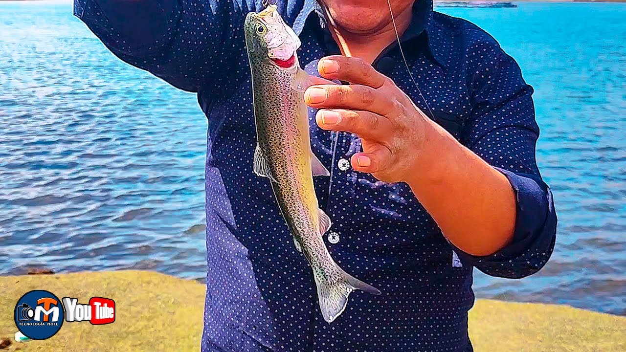 PESCA CON MARIPOSA CELTA TRUCHAS - TROUT CELTIC BUTTERFLY FISHING - YouTube