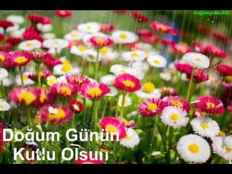 Çiçekli Papatyalı Doğum Günü Kutlama