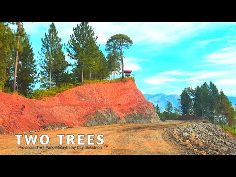 THE TWO TREES MALAYBALAY CITY BUKIDNON - YouTube