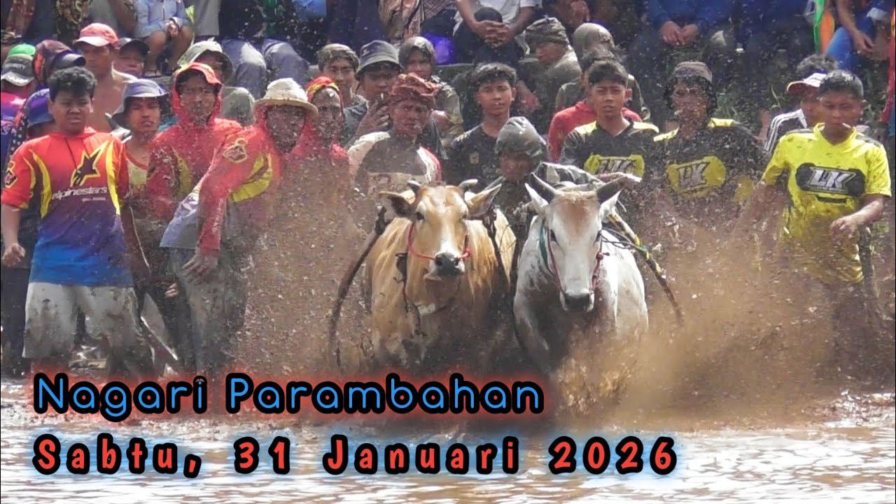 PACU JAWI Sabtu, 31 Januari 2026 Nagari Parambahan Pekan ke III - YouTube