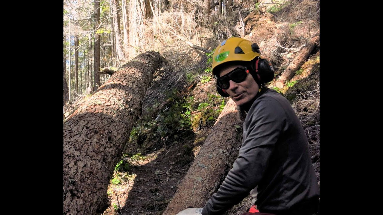 Wedging a Tree Over - YouTube