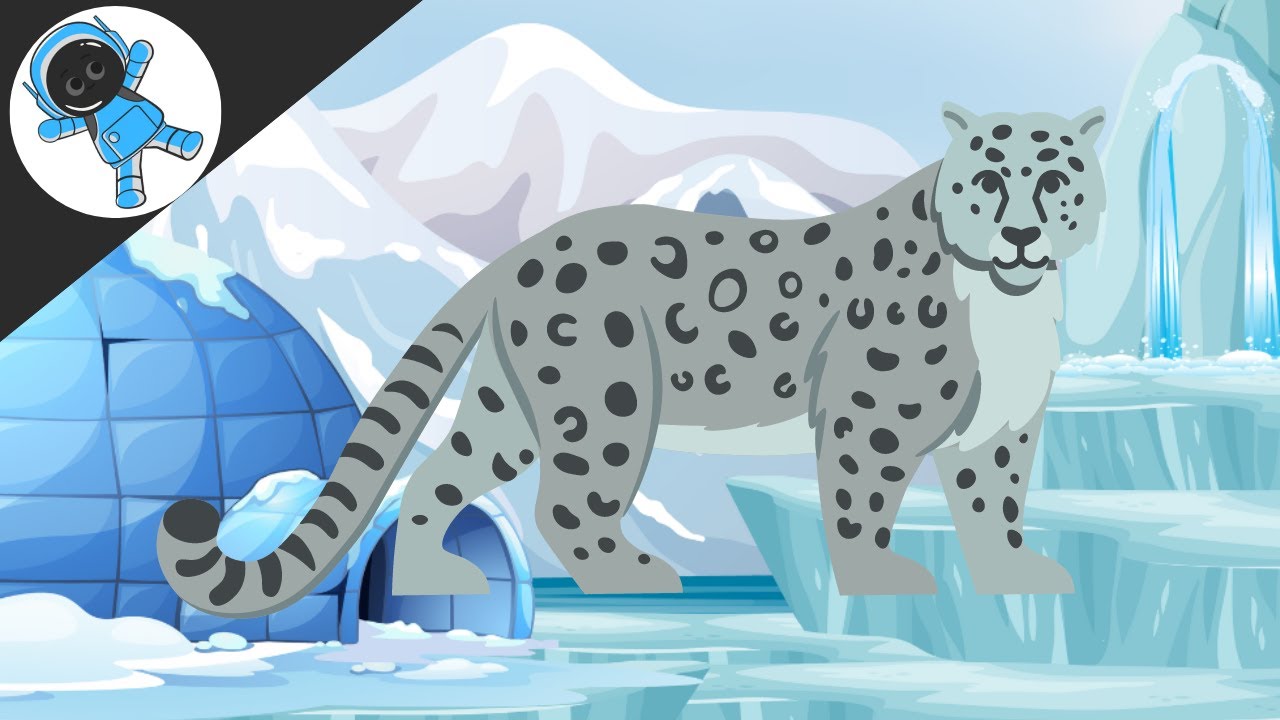 Snow Leopard Secrets: A Kid's Journey to the Mountain Guardians - YouTube