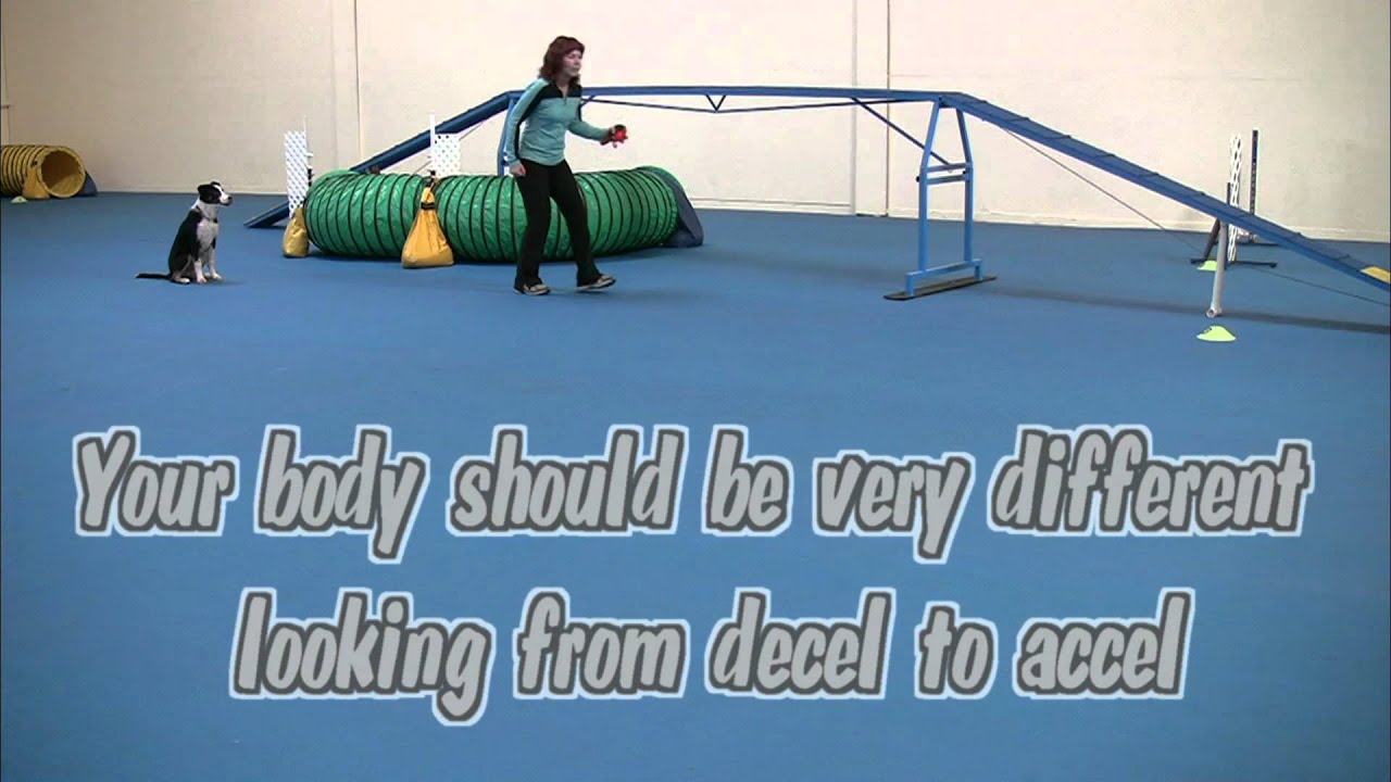 Accel.Decel Video for 2012 WAO E-Book for Team USA - YouTube