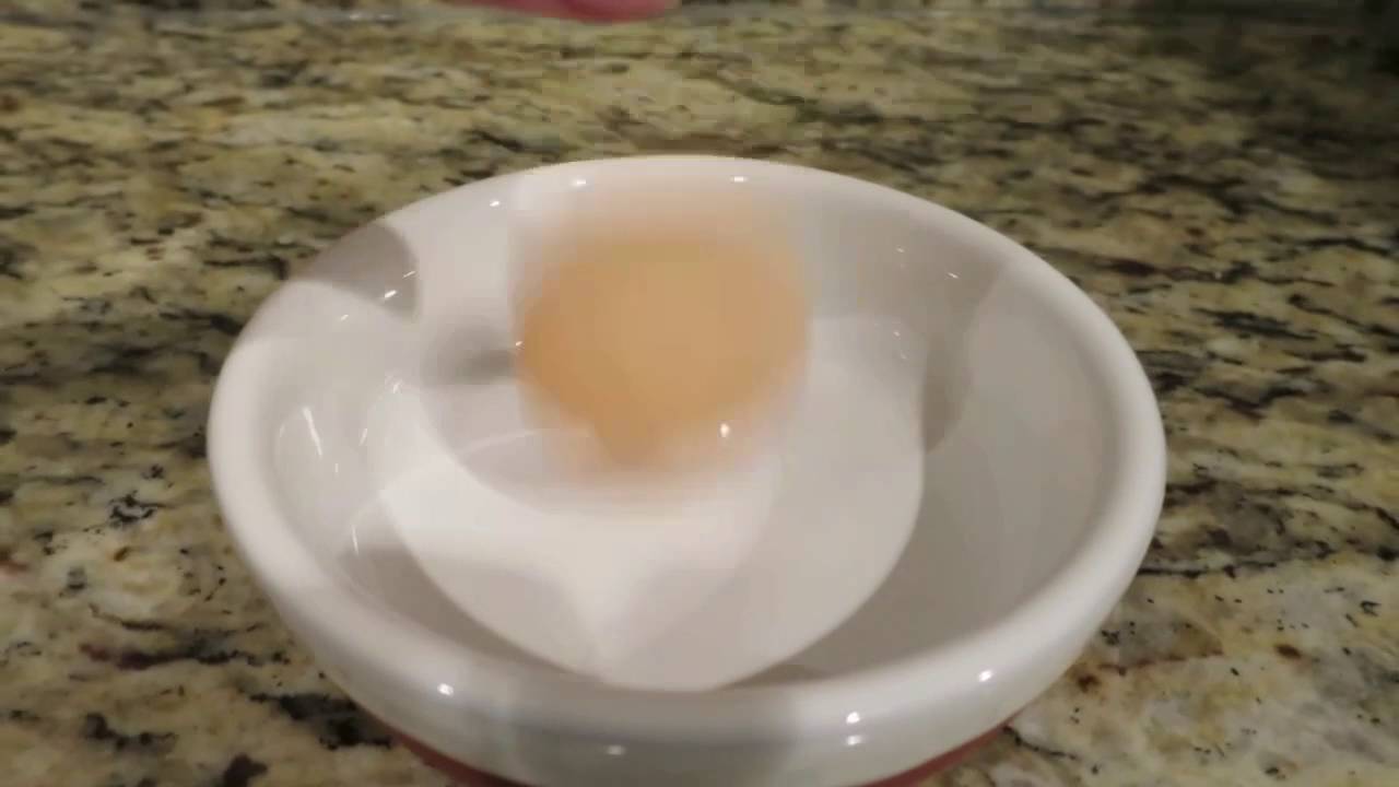 Strange leather-shelled Egg - YouTube