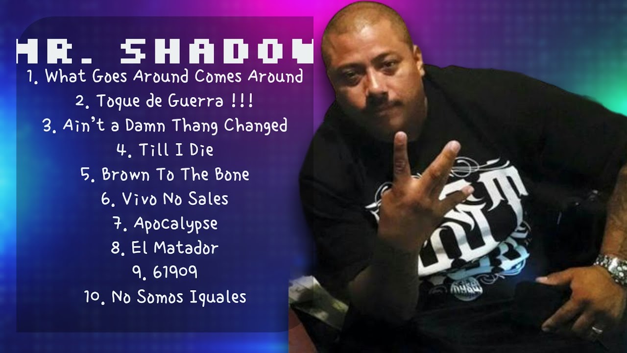 Mr. Shadow-The hits that defined the decade-Leading Songs Collection ...