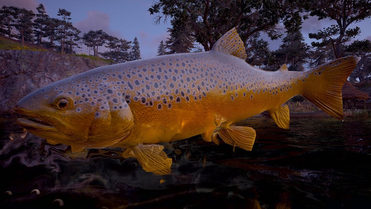 Best fishing strategy AC Valhalla - YouTube