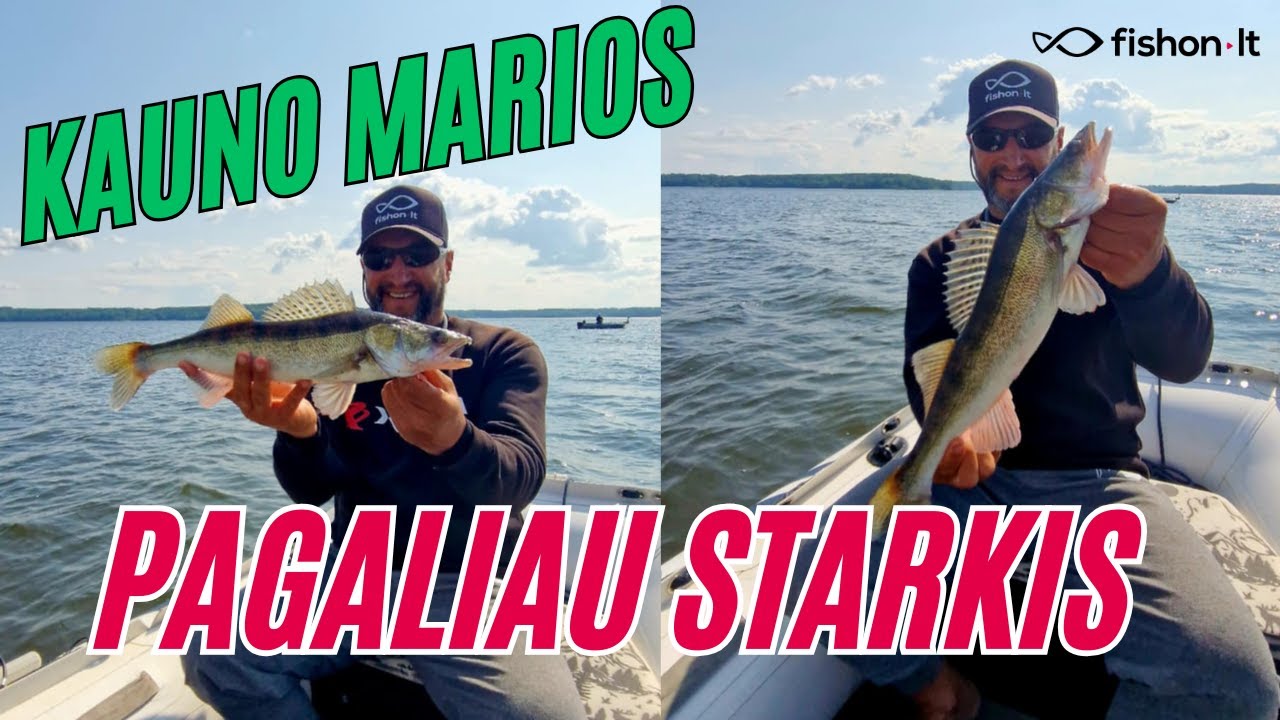 Kauno Marios | Pagaliau starkis - YouTube