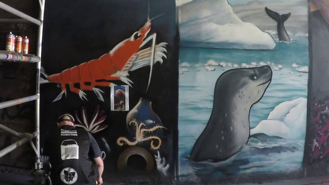 Day Seven — Antarctic Mural in Hobart for CCAMLR - YouTube
