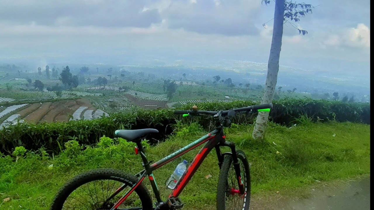 Sepeda MTB Pacific Invert 450 seri 2020, Cakep ??? - YouTube
