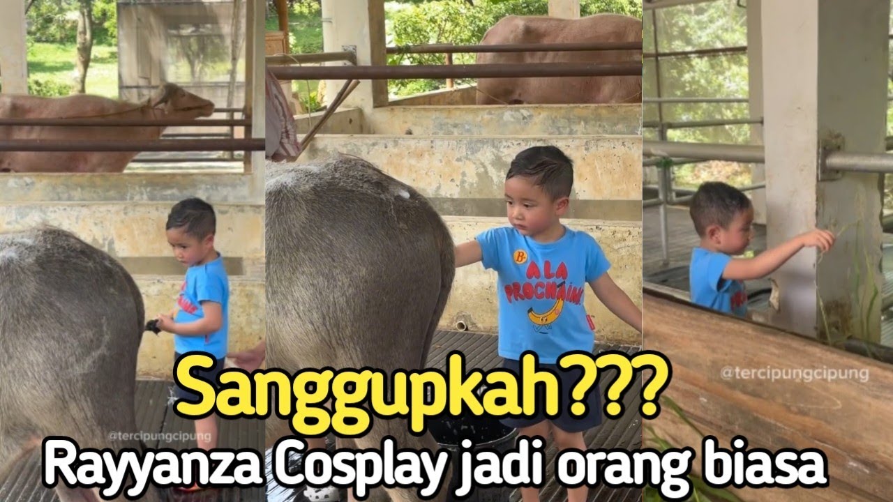 Rayyanza cosplay jadi orang biasa aktivitasnya apakah sanggup?? - YouTube