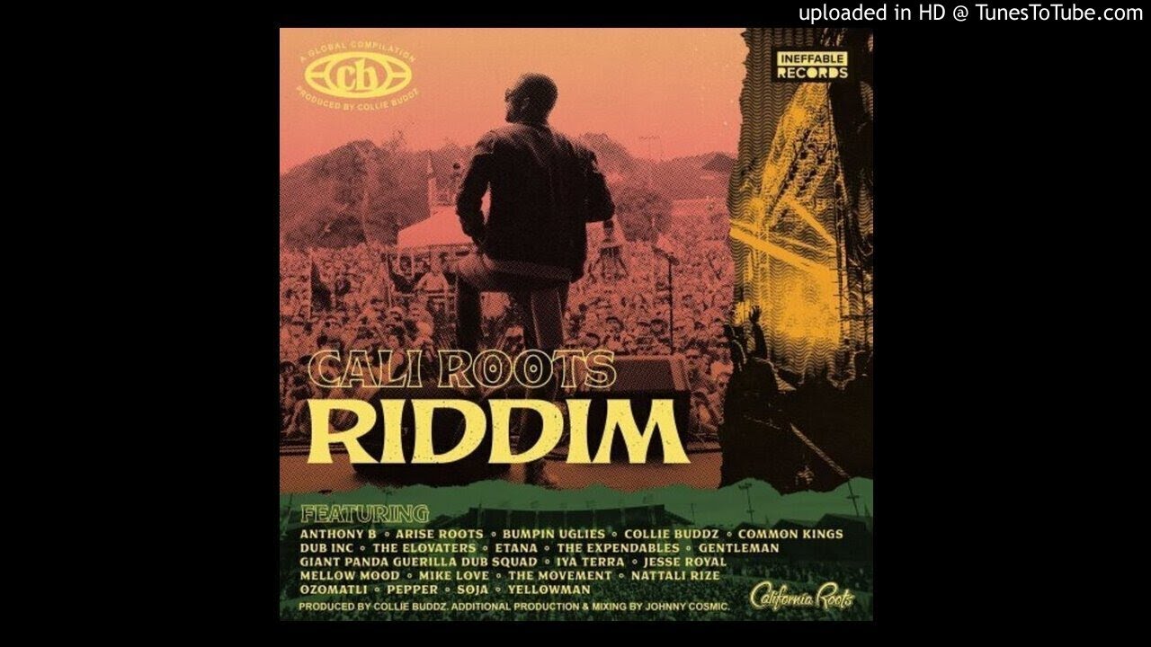 Dub Inc - Resist and Fight (Cali Roots Riddim) | May 2020 - YouTube