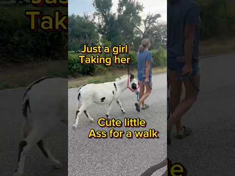 Just a girl taking her cute little ass for a walk!