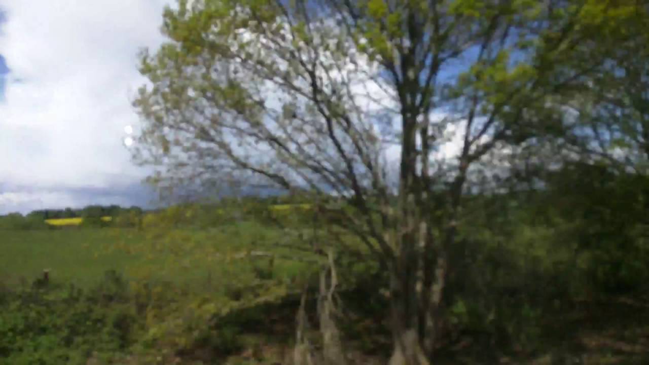 Bus ride to Pett Level HD - YouTube