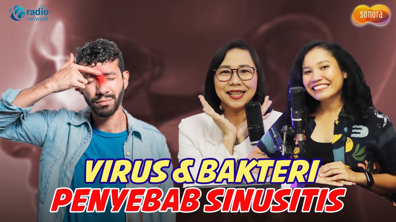 Apa itu Sinus? Ini Gejala & Penyebab Sinusitis | KamuSehat Bersama dr ...