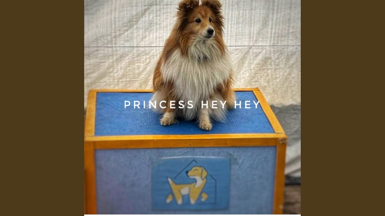 Princess Hey Hey - YouTube