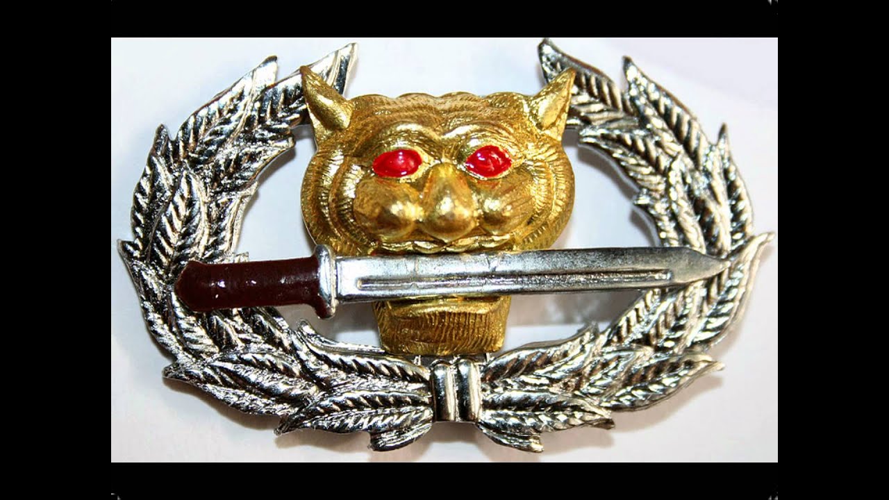 ROYAL THAI ARMY BADGES - YouTube