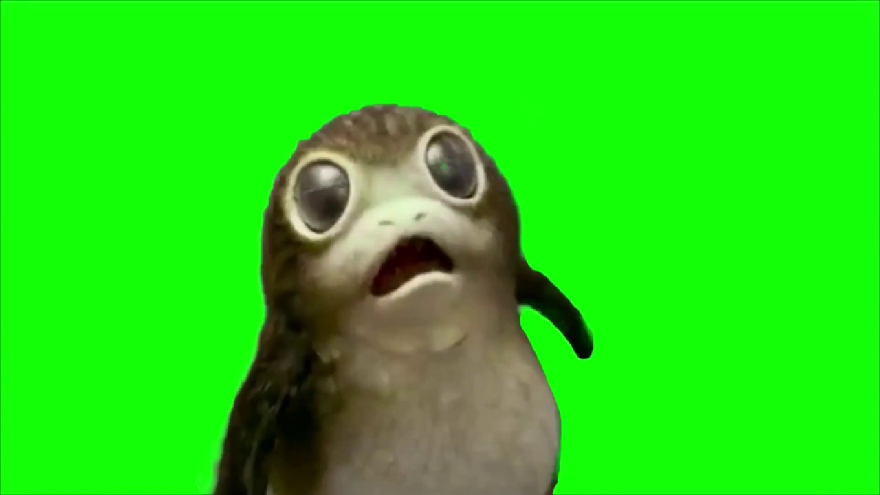 Green Screen Porg - YouTube