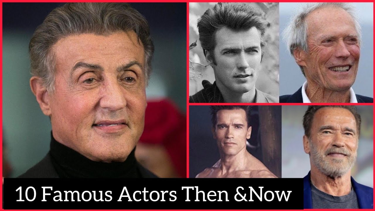 10 most famous Hollywood actors then and now | Sylvester Stallone ...