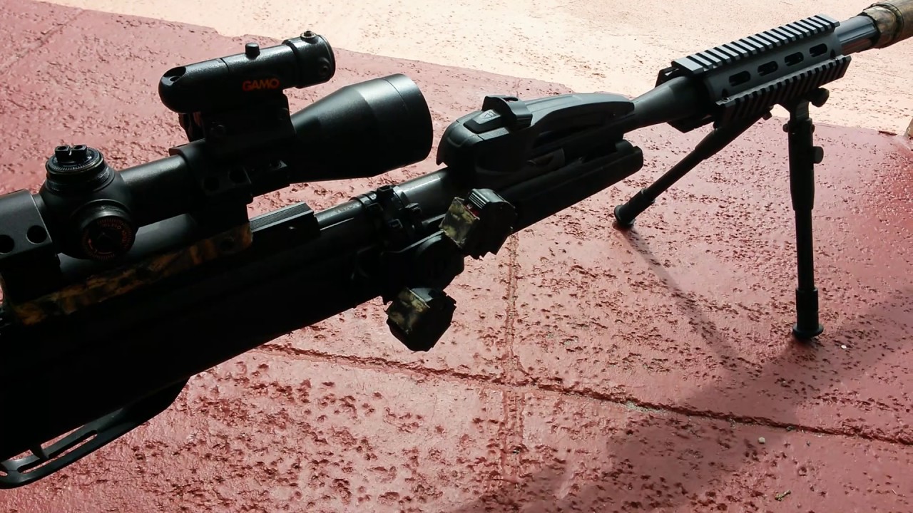 Gamo swarm maxxim custom made with homemade cheak raiser 👍-😆-👉 - YouTube