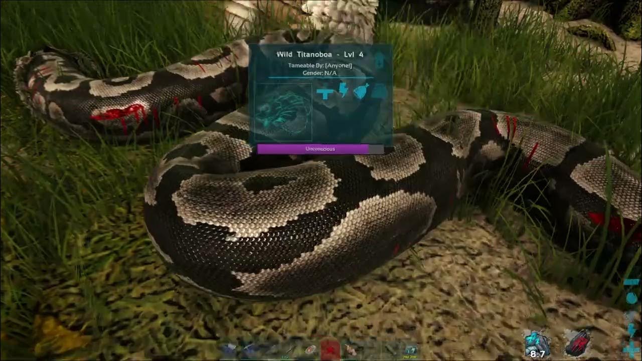 [Let's Play] ARK: Survival Evolved 128 - Ankunft im Sumpf und Baryonix - YouTube