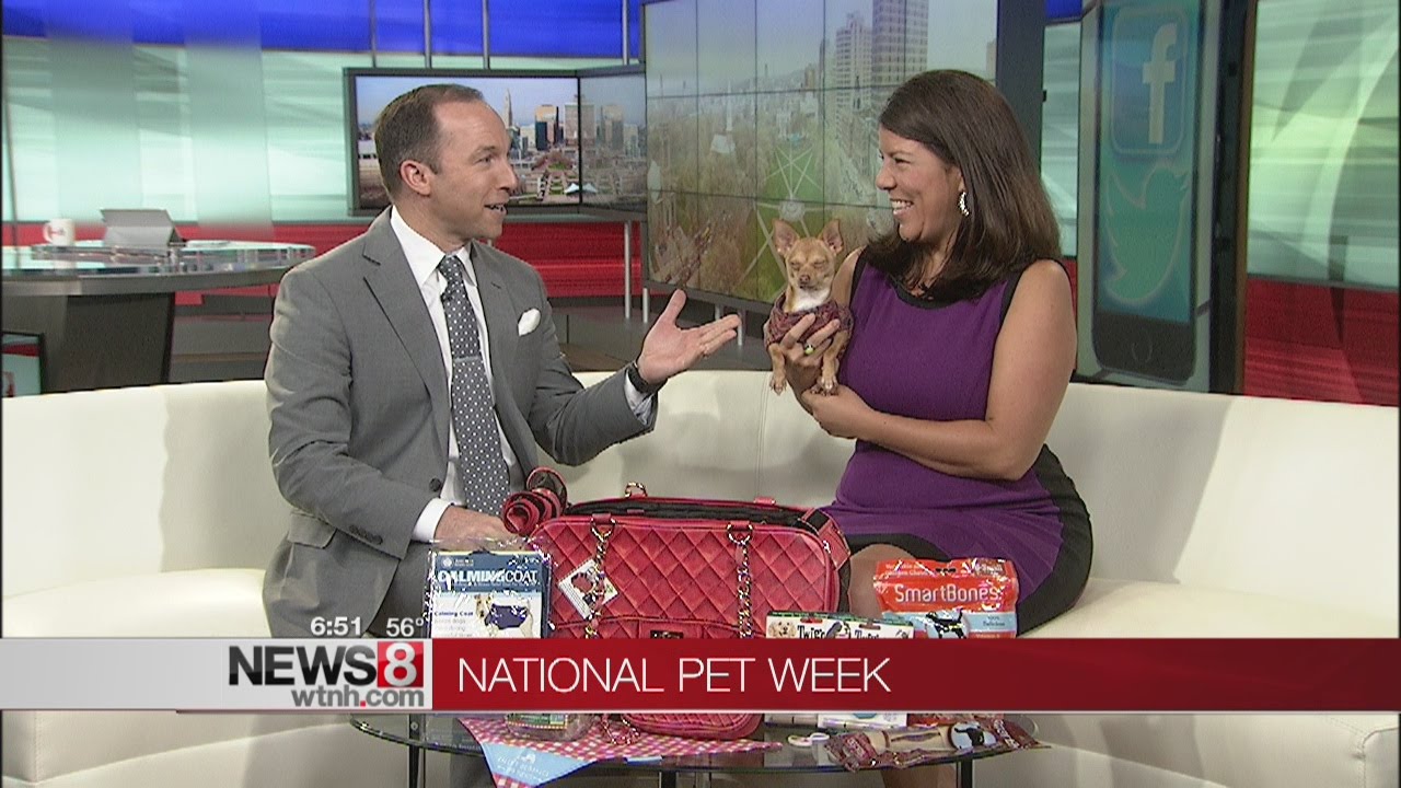 Good Morning Connecticut - YouTube