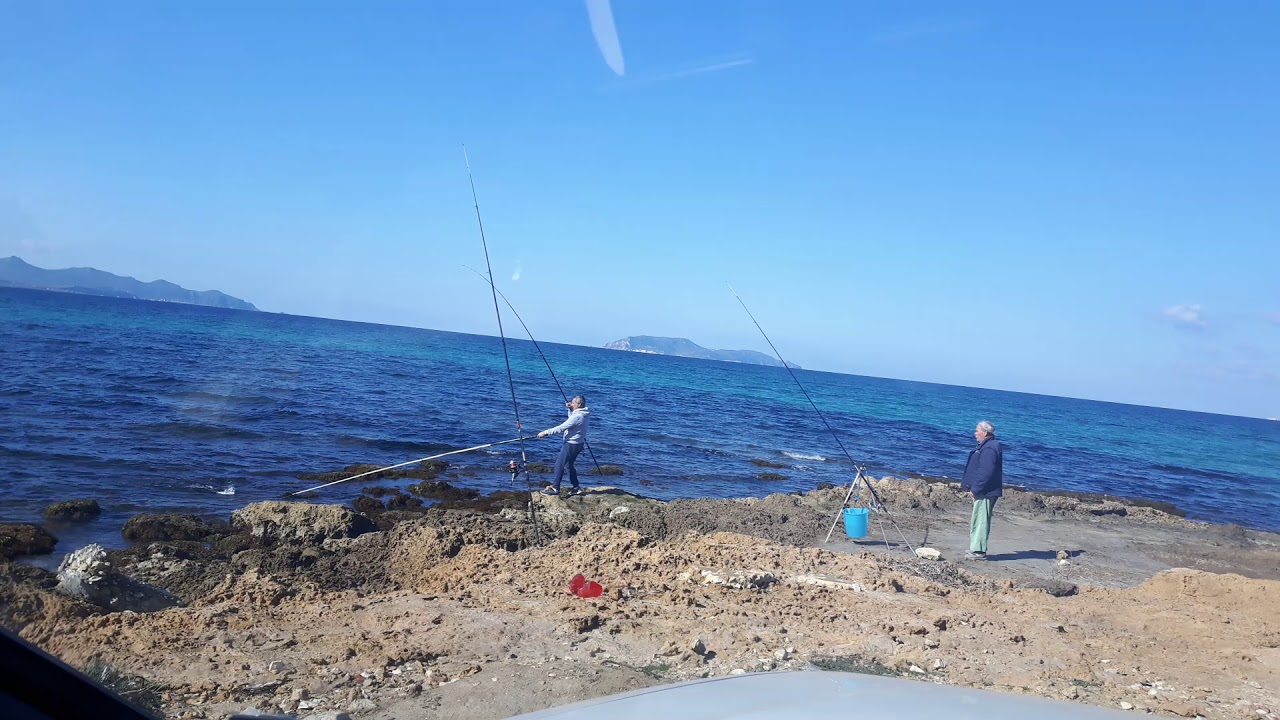 Bellissima orata con il granchio. - YouTube