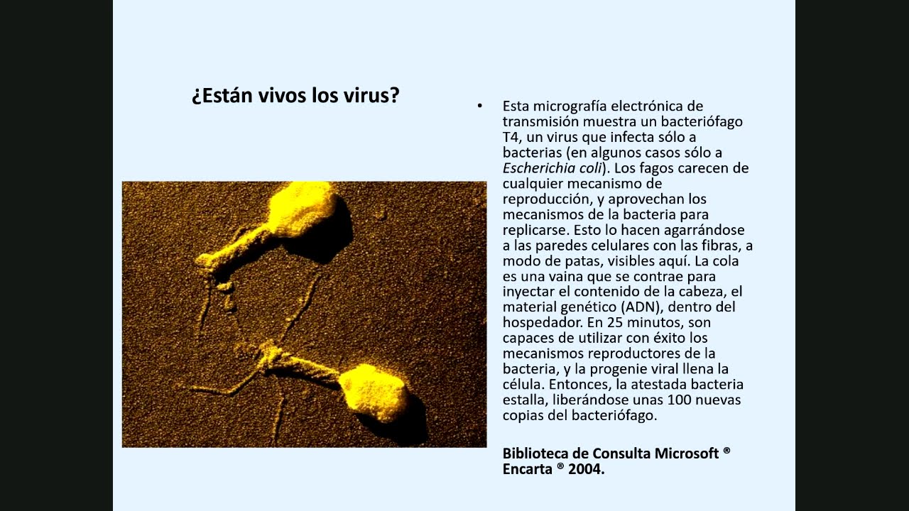 Filosofía de la Biología. Tema 2(1) El concepto de vida 1ª parte - YouTube