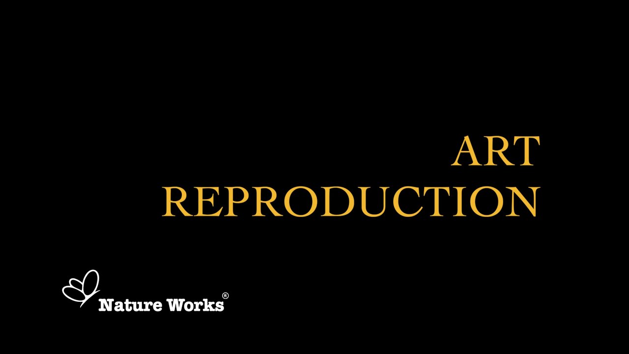 REPROGRAPHY - Art Reproduction - YouTube
