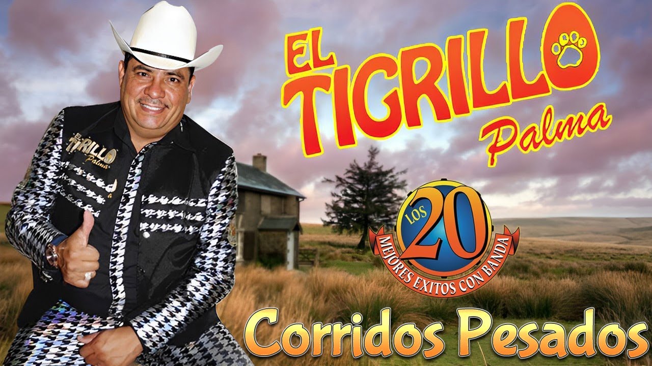 El Tigrillo Palma - Corridos Pesados Mix - YouTube