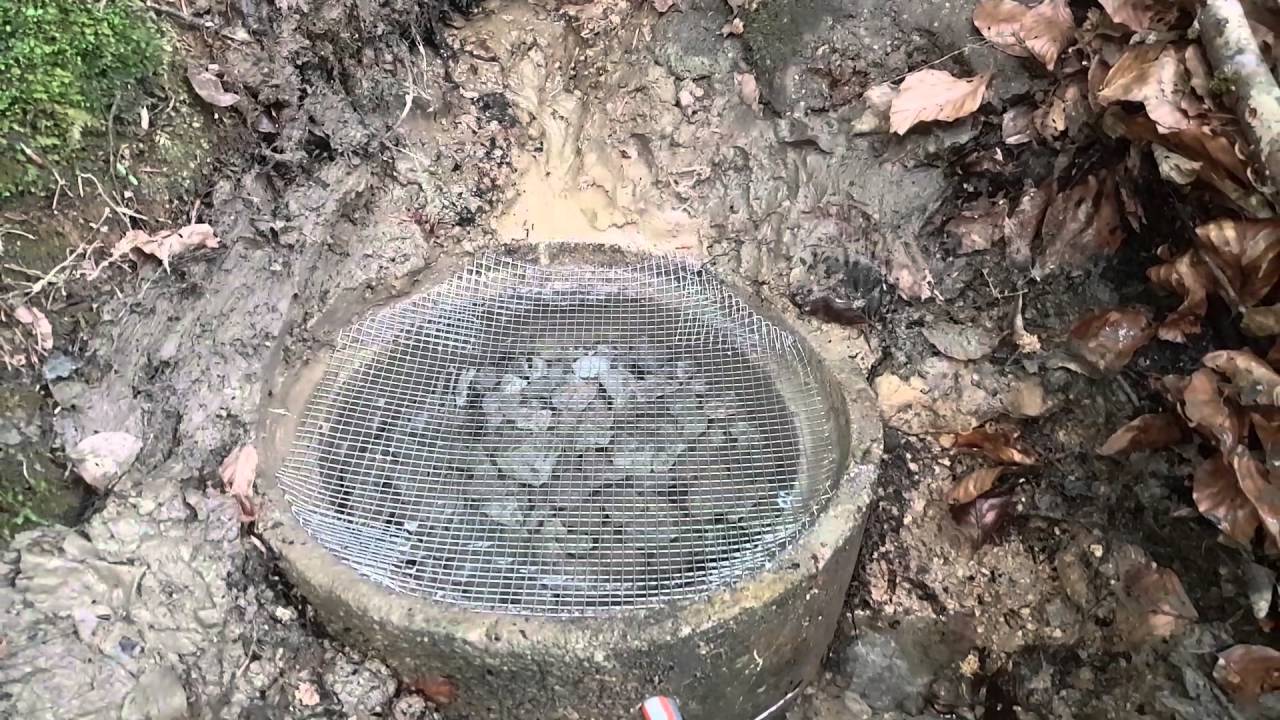 Setting up the water collection at spring (60FPS) - YouTube