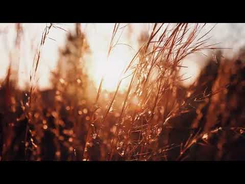 İnci Misali      İpek Karabağır  GÖNÜL DAĞI