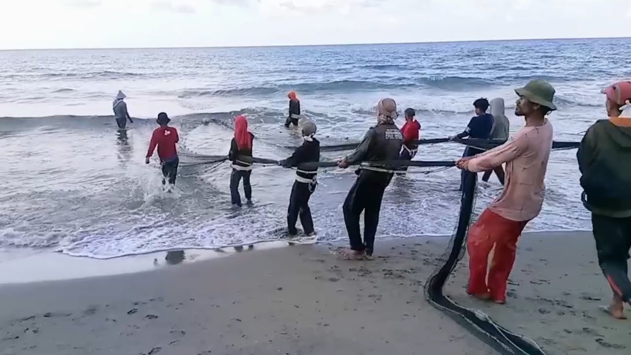 Tangkapan Ikan Dengan Jaring Pukat Lingkar Laut Indonesia Aceh • Beach ...