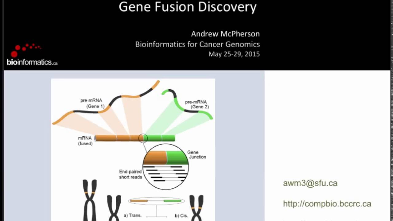 Gene Fusion Discovery - YouTube