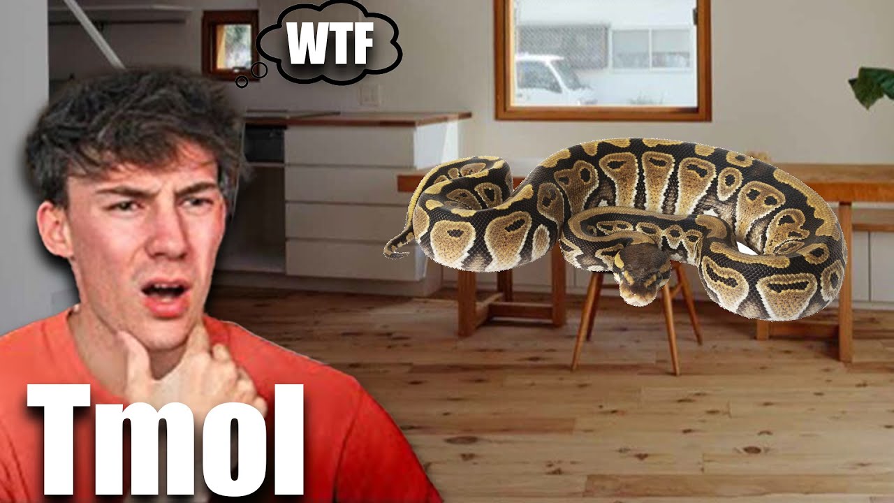 I meet @tmol on Ome TV! - YouTube