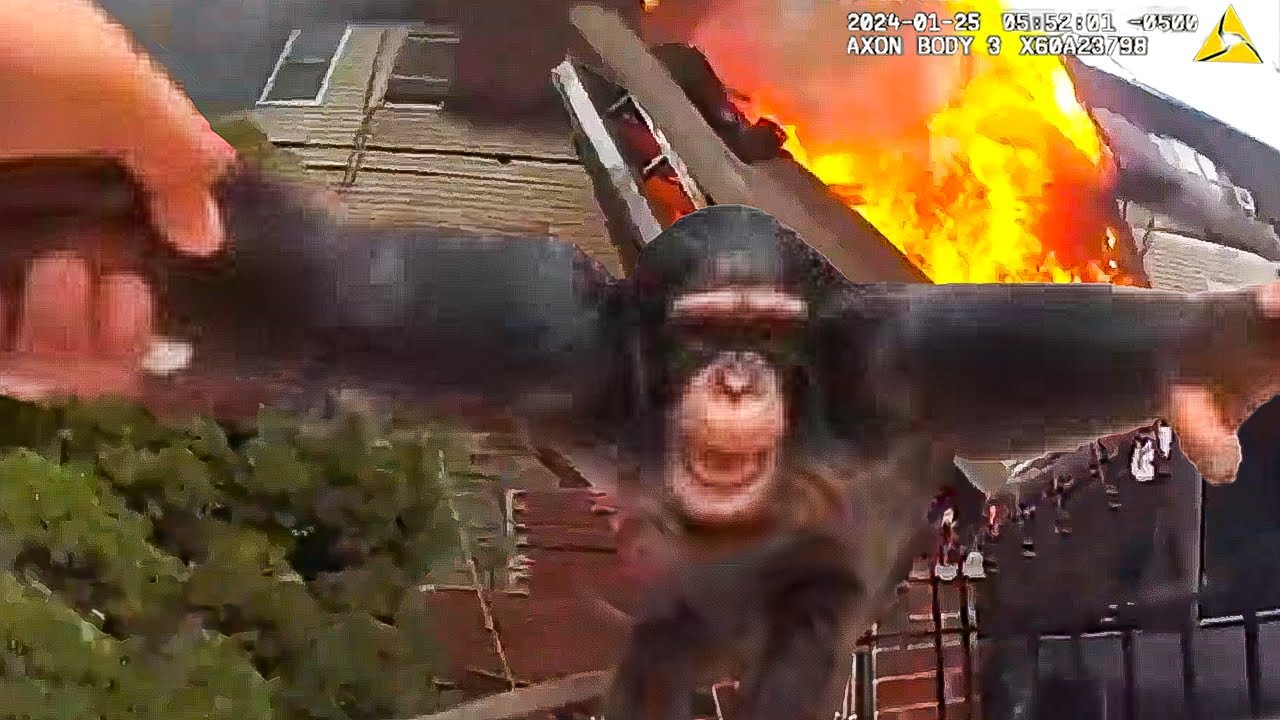 When Heroic Cops Save Animals Trapped In Fire - YouTube