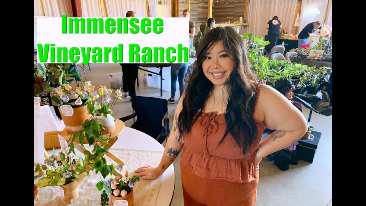 Back at Immensee Vineyard Ranch! | Vlog. 49 - YouTube