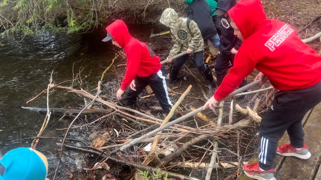 Breaking a DAM, beaver dam - YouTube