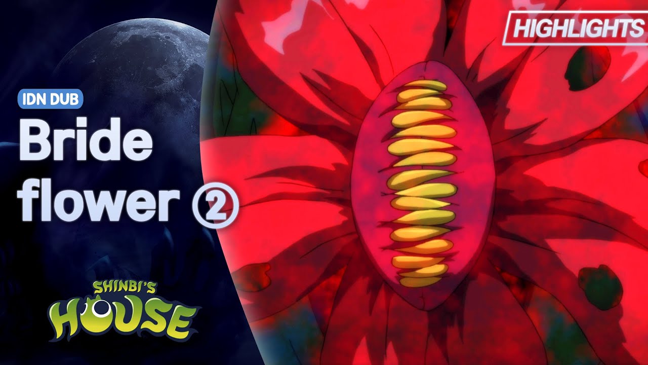Shinbi’s House | Season 1 | Bride flower | Highlight 01 | Bahasa ...