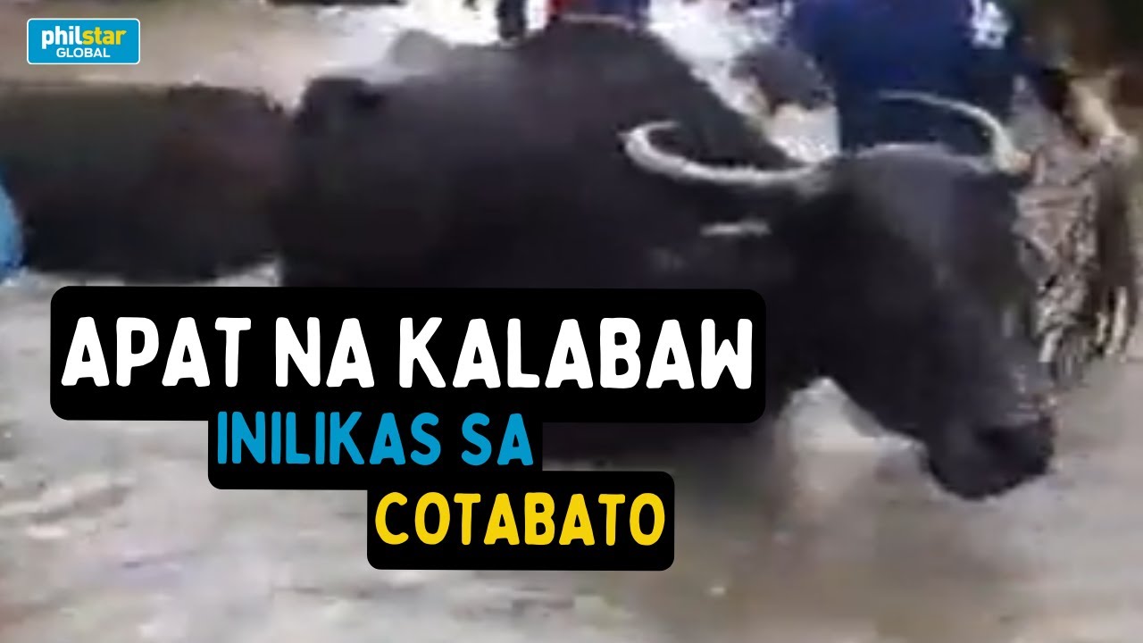 Paeng PH: Sitwasyon sa Pigcawayan, Cotabato - YouTube