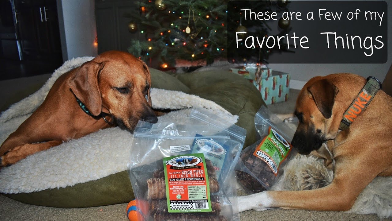 6 Favorite Items for your Dogs wish list! // Rhodesian Ridgeback and ...