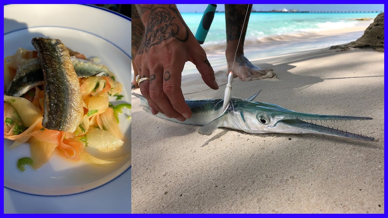 EATING BAIT: Surprisingly Delicious!! - YouTube