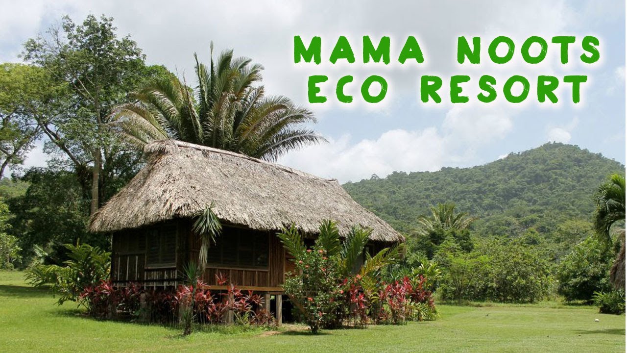 Belize Jungle Eco Resort - Mama Noots, Stann Creek, Mayflower Bocawina ...