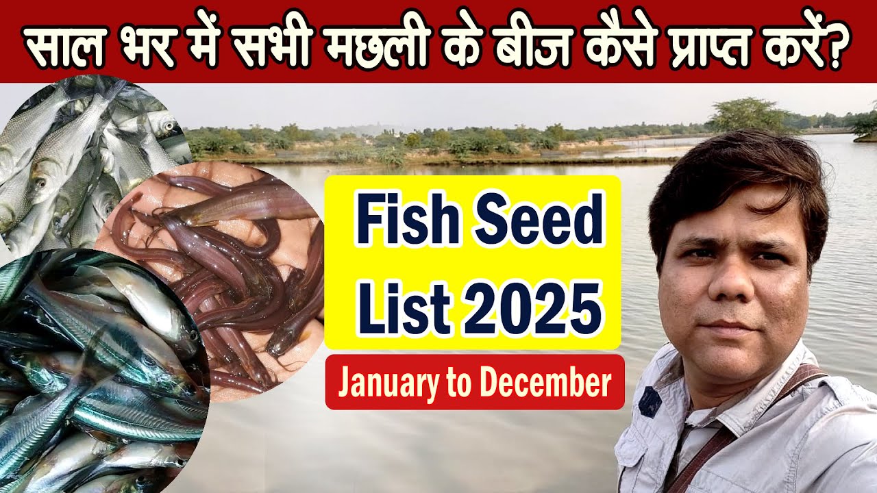 Fish Seed 2025 - साल भर में सभी मछली के बीज कैसे प्राप्त करें? - Get Fish Seeds in 2025 at Low ...