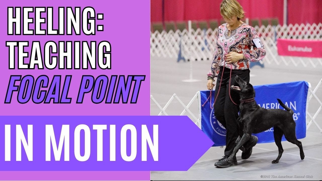 Teaching focal point for heeling in motion. - YouTube