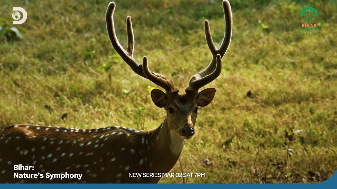 Bihar: Nature's Symphony | Bihar Tourism | Discovery India | Promo 1 ...