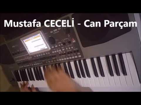 Mustafa Ceceli - Can Parçam (Canlı)