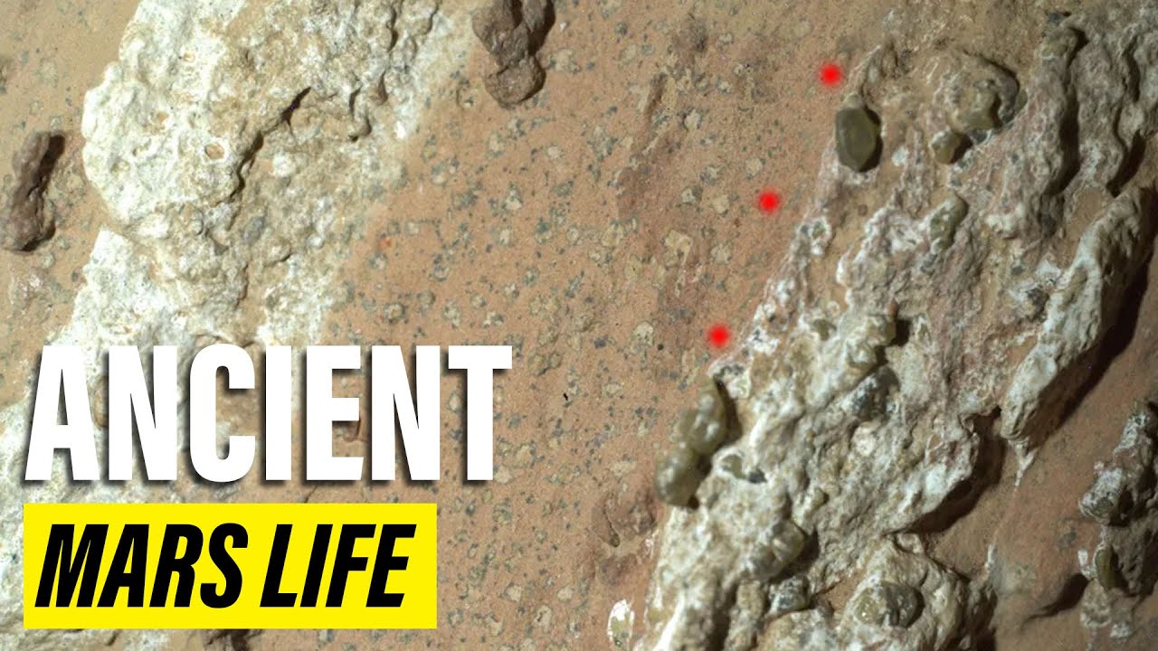 Did Mars Once Harbor Life? The Shocking Evidence Revealed - YouTube